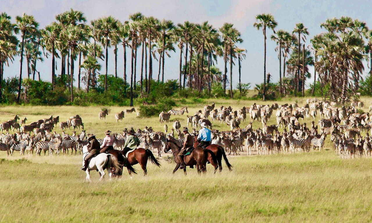 Vacaciones a Caballo en el Kalahari | San Camp en Botswana